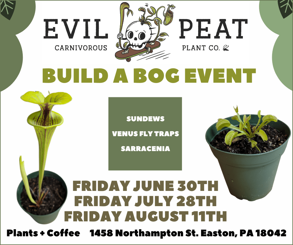 Friday night Build a Bog event at Plants + Coffee on June 30th - The ...